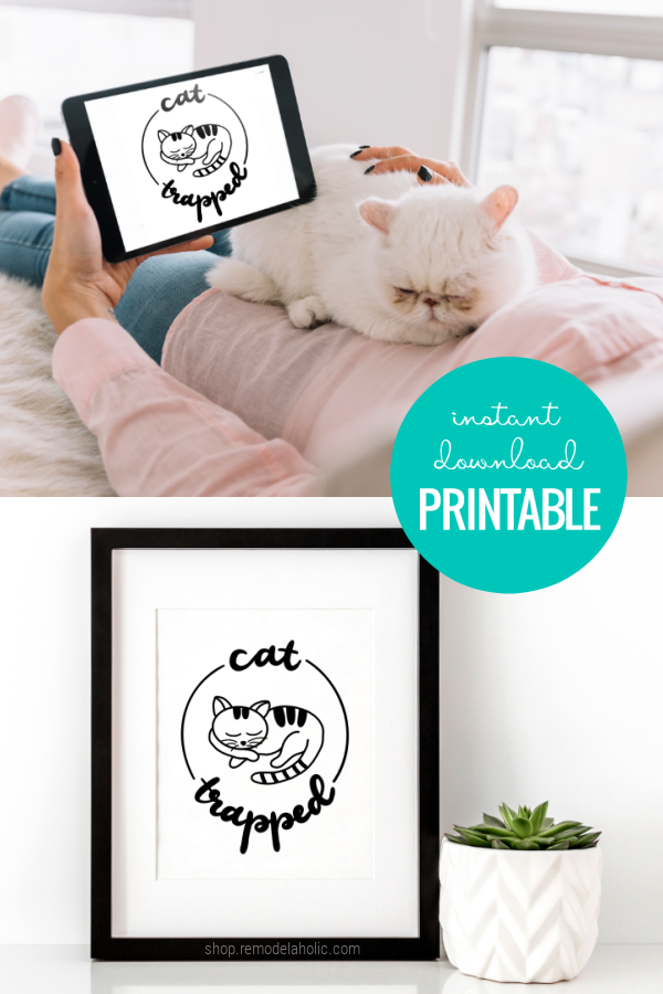 Cat Trapped Art Printable – Remodelaholic